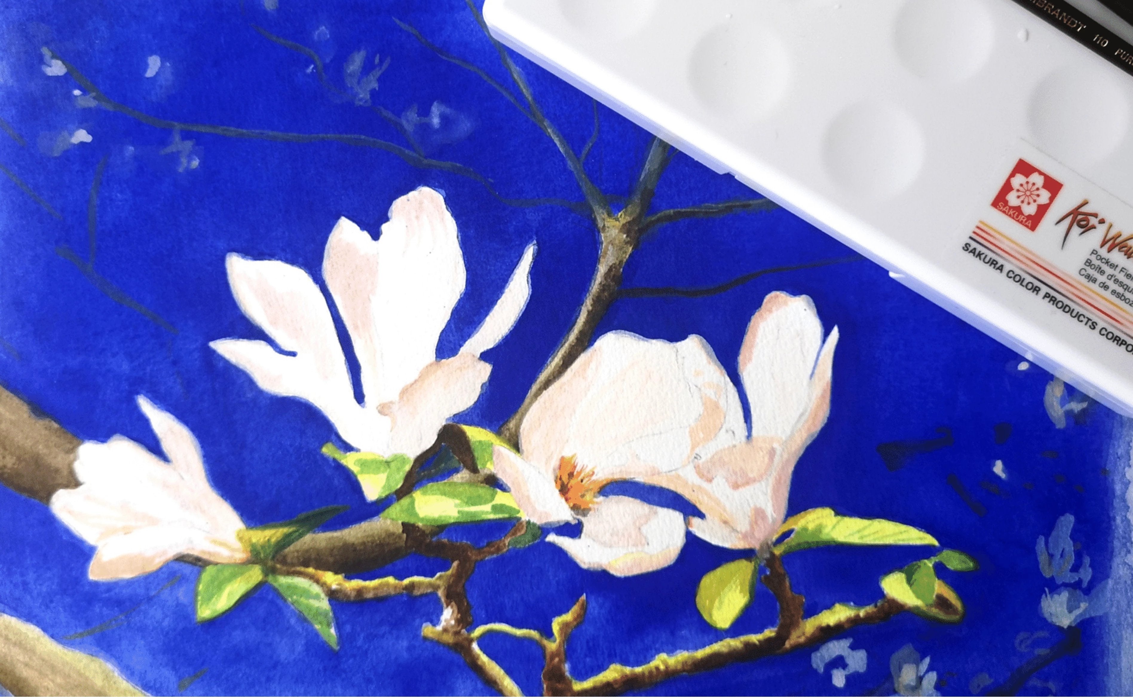 Painting magnolias in watercolour | Step by step | Royal Talens